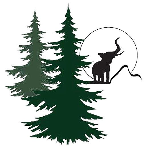 Park Model Rentals in Elephant Butte, NM | Cedar Cove RV Park